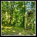 blackhawk bowhunters