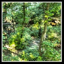 blackhawk bowhunters