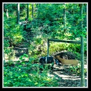 blackhawk bowhunters